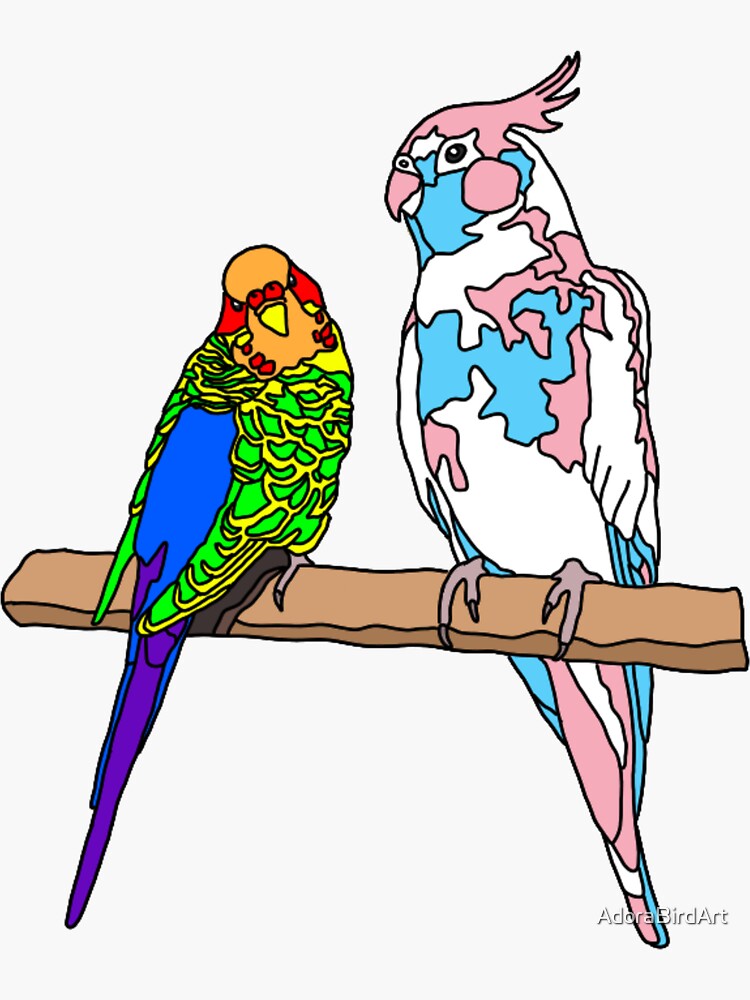 "LGBT+ Rainbow & Trans Pride Birds" Sticker for Sale by AdoraBirdArt ...
