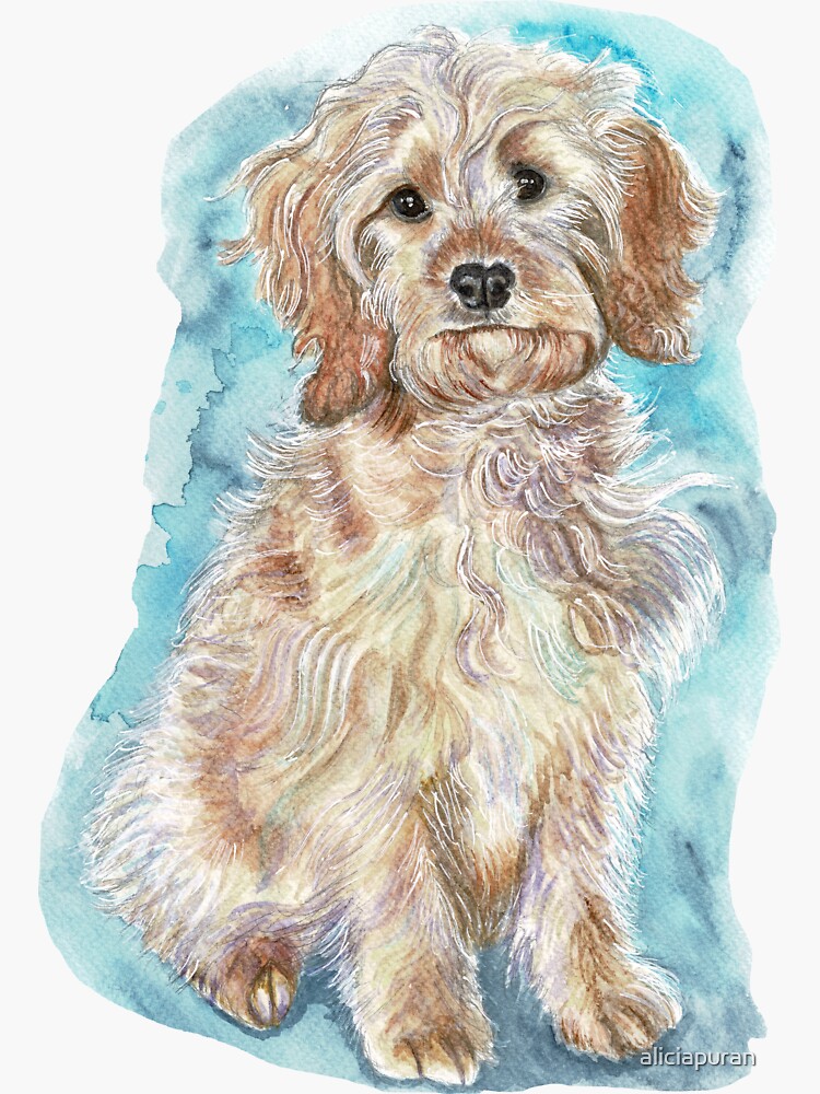 "Cavoodle" Sticker for Sale by aliciapuran | Redbubble