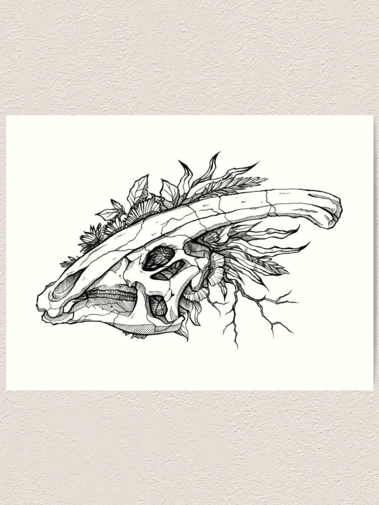 "Parasaurolophus Skull 1.1" Art Print by leviadraconia | Redbubble