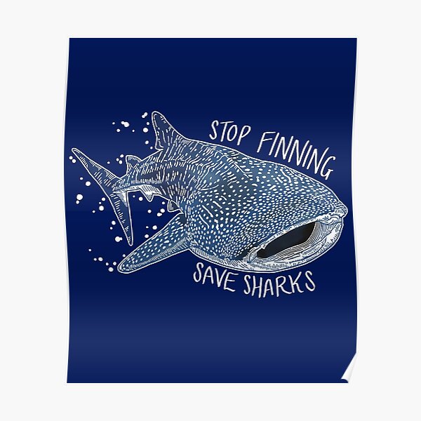 "Stop Finning Save Sharks Whale Sharks" Poster for Sale by Narked-Shark ...