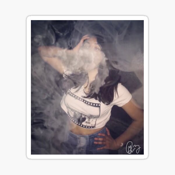 "Smoke " Sticker by Heyitslilrebel | Redbubble