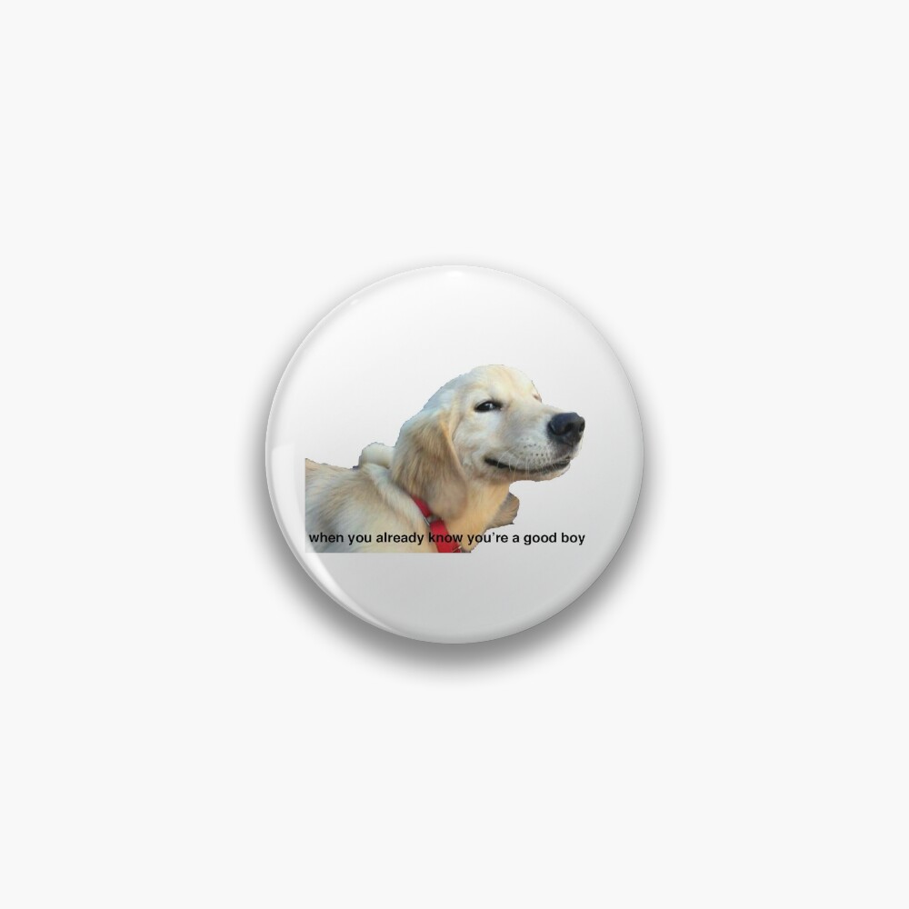 "Good Boy Dog" Sticker for Sale by alliejgoulding | Redbubble