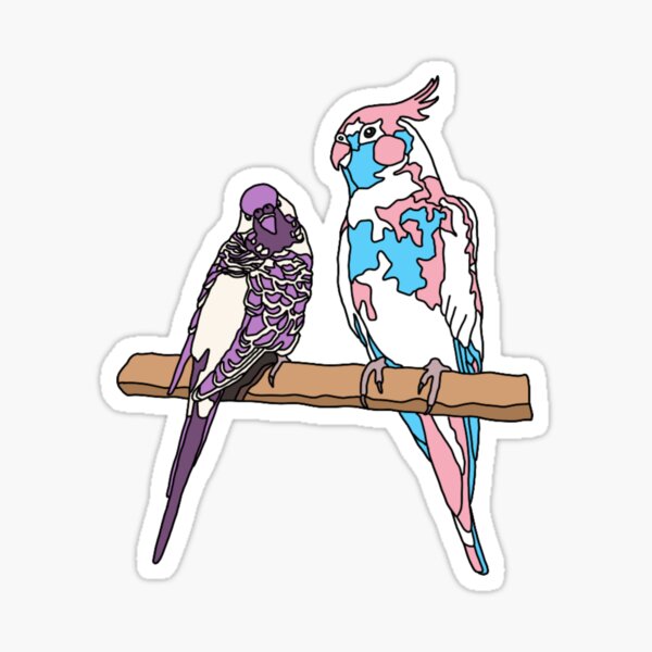 "Queer & Trans Pride Birds" Sticker for Sale by AdoraBirdArt | Redbubble