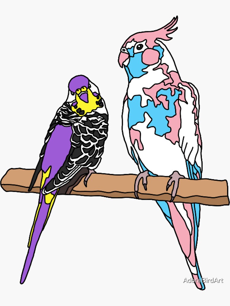 "Nonbinary & Trans Pride Birds" Sticker for Sale by AdoraBirdArt ...