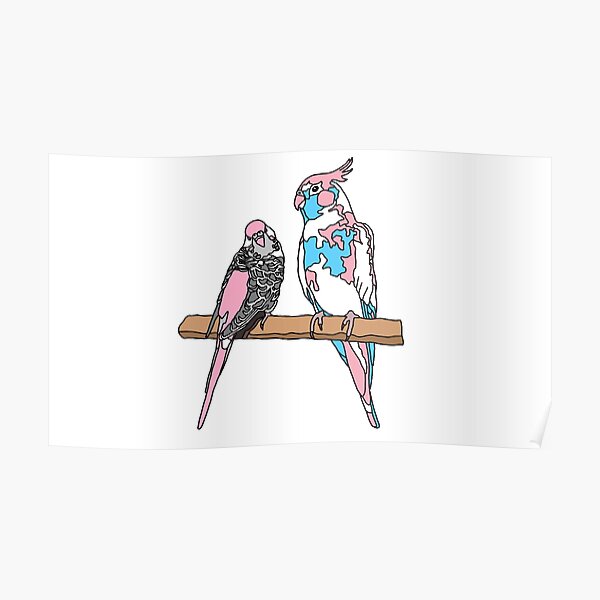 "Demigirl & Trans Pride Birds" Poster for Sale by AdoraBirdArt | Redbubble