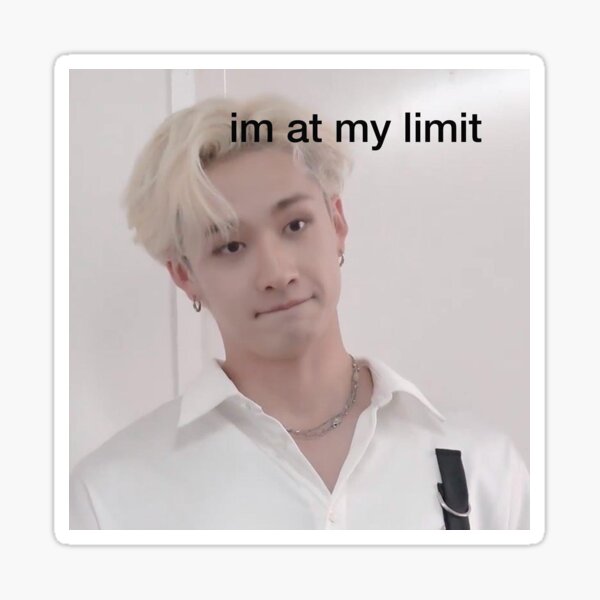 "Stray Kids- bang chan" Sticker for Sale by zainabsamin2003 | Redbubble