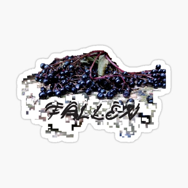 "Fallen " Sticker for Sale by SinaNori32 | Redbubble