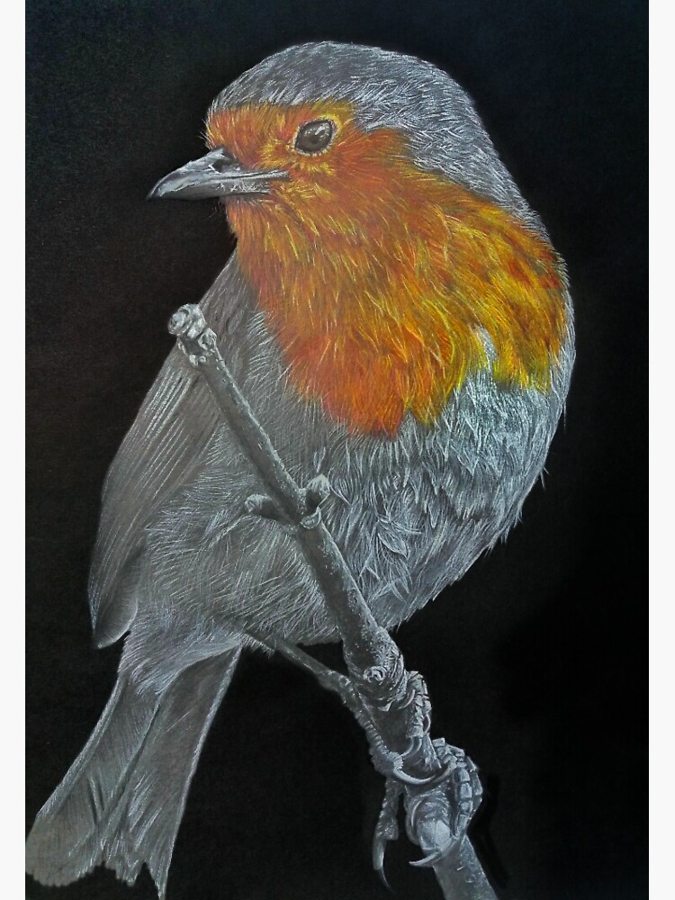 "Mr Robin" Sticker for Sale by Thorneart | Redbubble