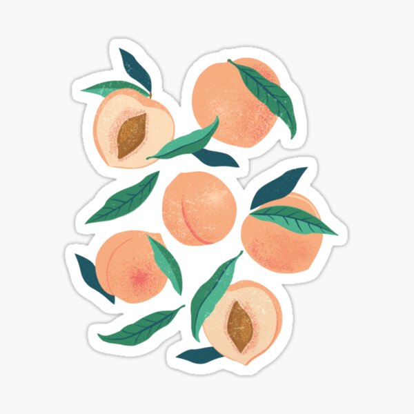 "Still Nature Peaches" Sticker for Sale by kawaiistudio | Redbubble