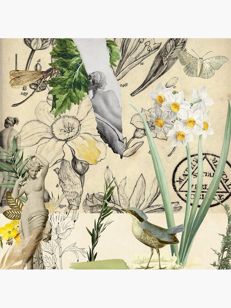 "classical" Sticker for Sale by jamayr | Redbubble