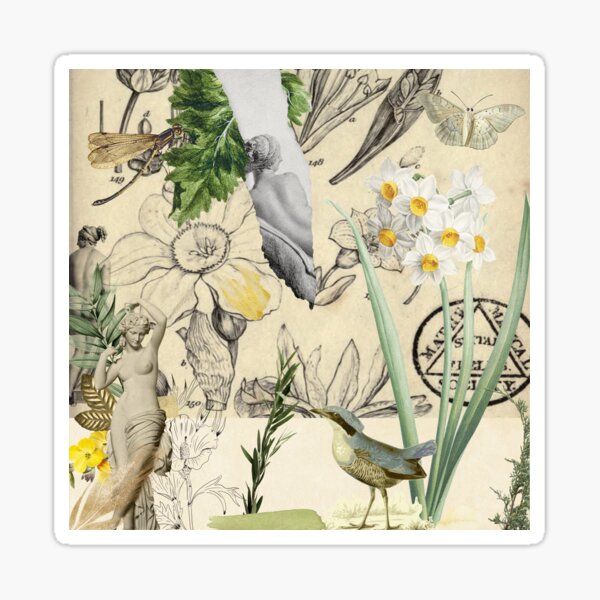 "classical" Sticker for Sale by jamayr | Redbubble