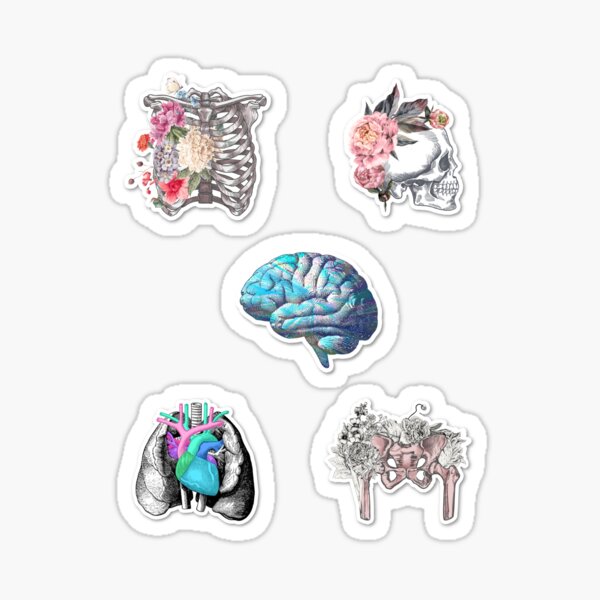 "Bone sticker set" Sticker for Sale by animalcrossingX | Redbubble