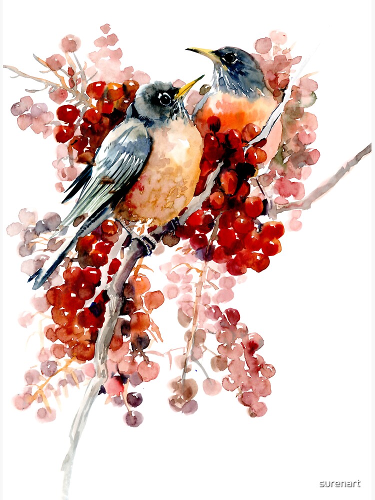 "American Robins" Sticker for Sale by surenart | Redbubble