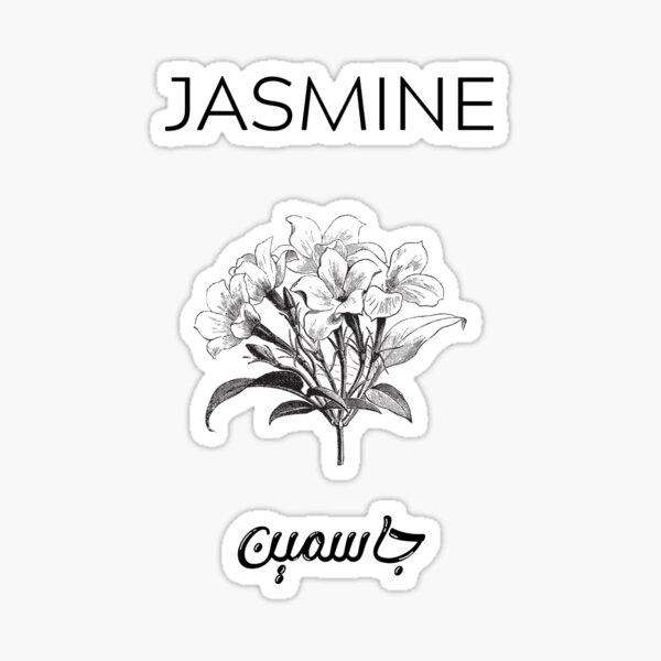 "jasmine name in arabic" Sticker by clothluxshop | Redbubble