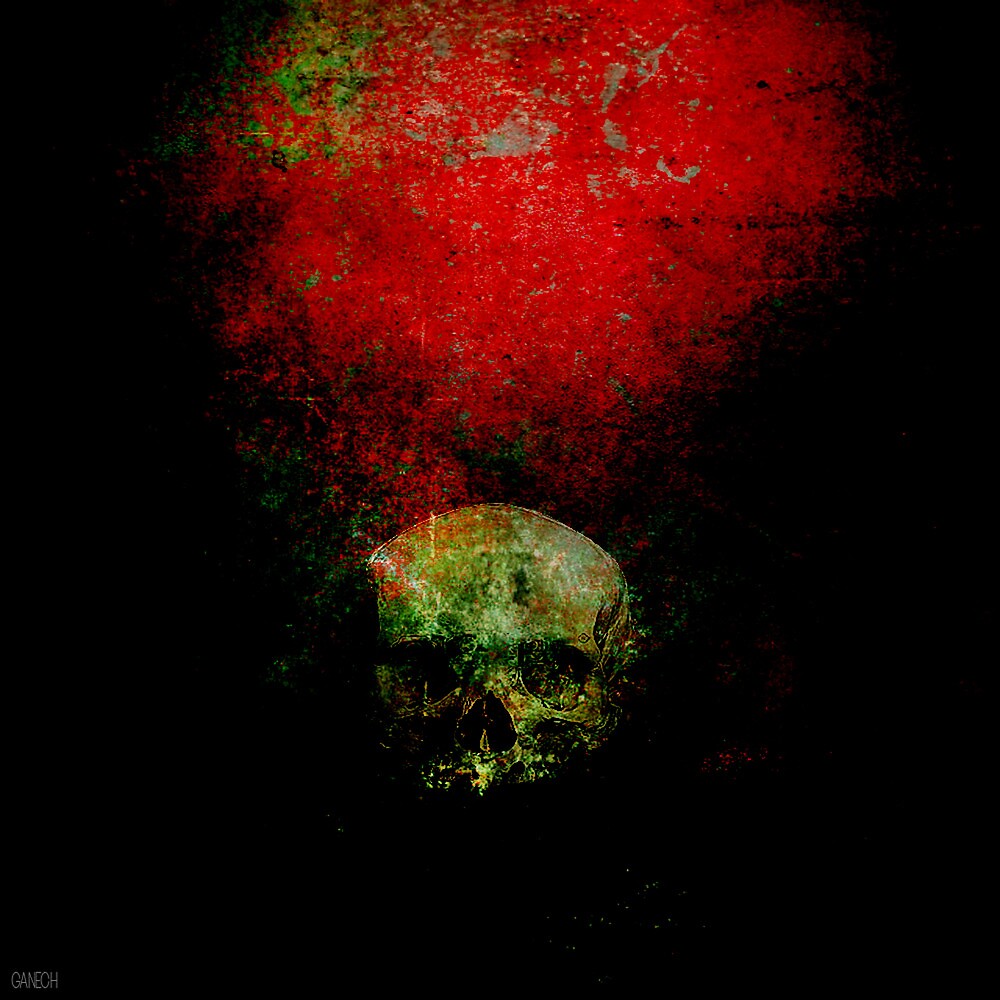 "skull in the shadow" by ganechJoe | Redbubble