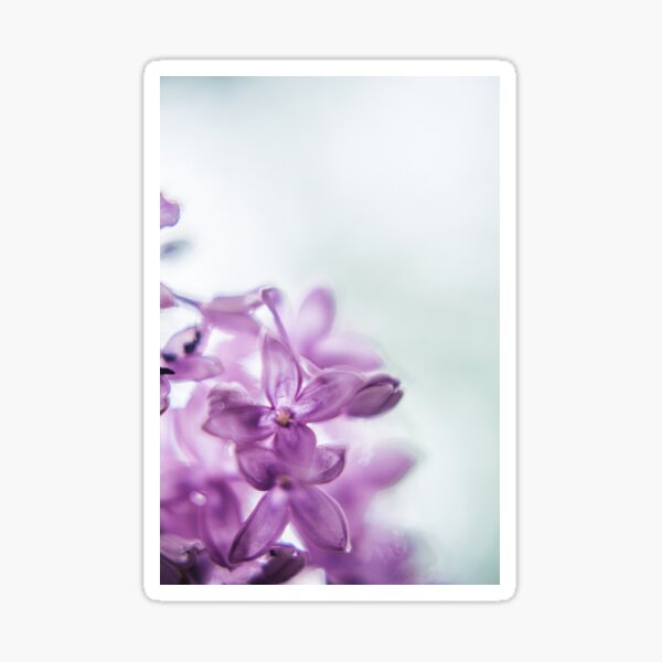 "Wonderful lilacs" Sticker for Sale by EmelinaPhoto | Redbubble