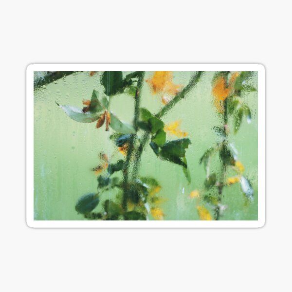 "Condensation on a Greenhouse Window" Sticker by Melissablackjpg ...