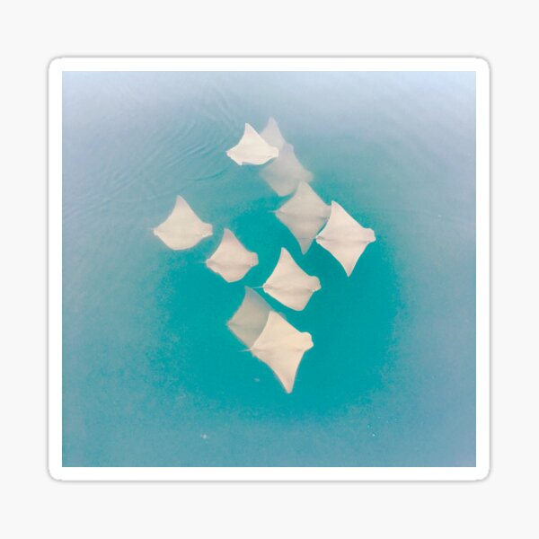 "Stingray Pod" Sticker for Sale by Kimberly Bizjak | Redbubble