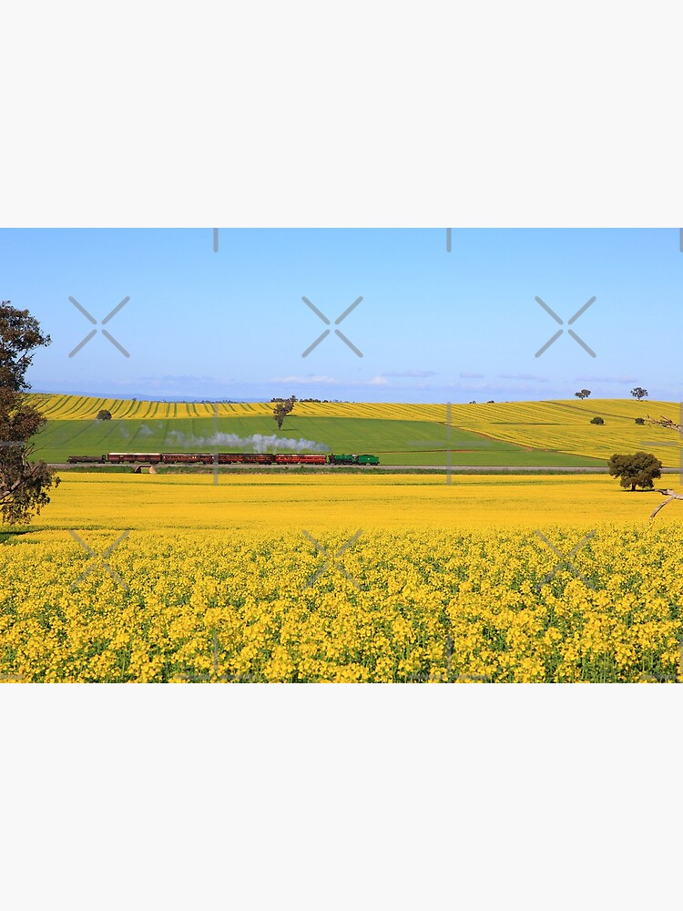 "3642 passes Canola fields - Old Junee" Art Print for Sale by woosang ...