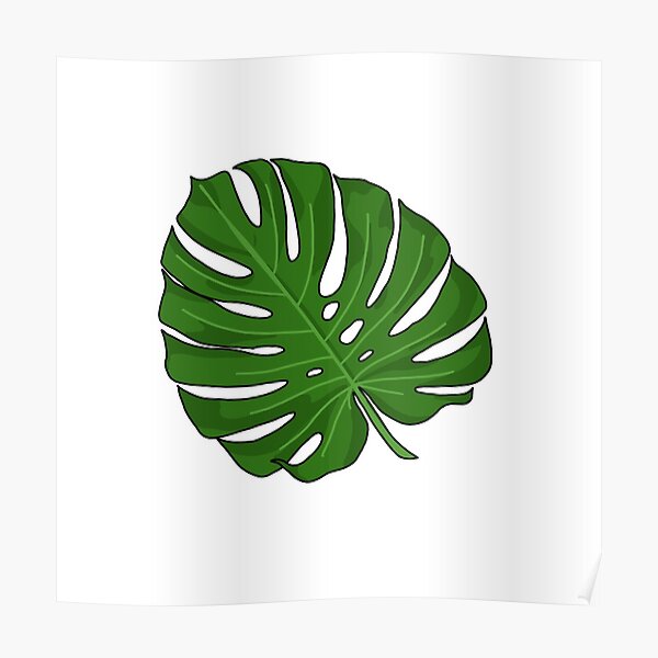 "Monty Monstera Leaf :)" Poster for Sale by meganboykoff | Redbubble