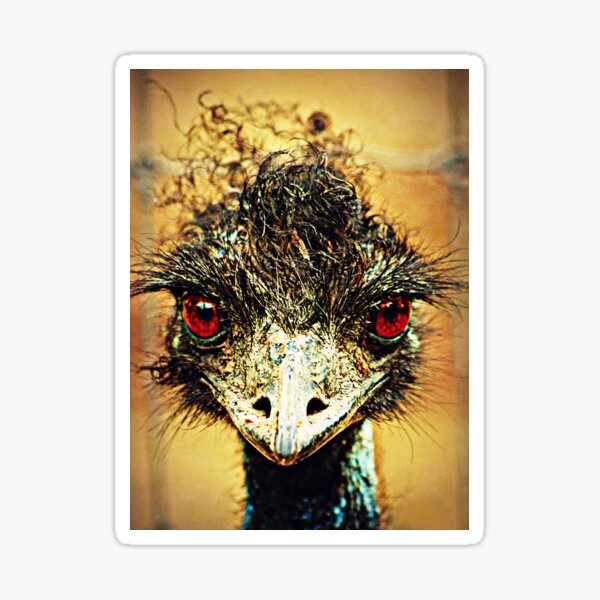 "Old man emu" Sticker for Sale by KarenTregoning | Redbubble