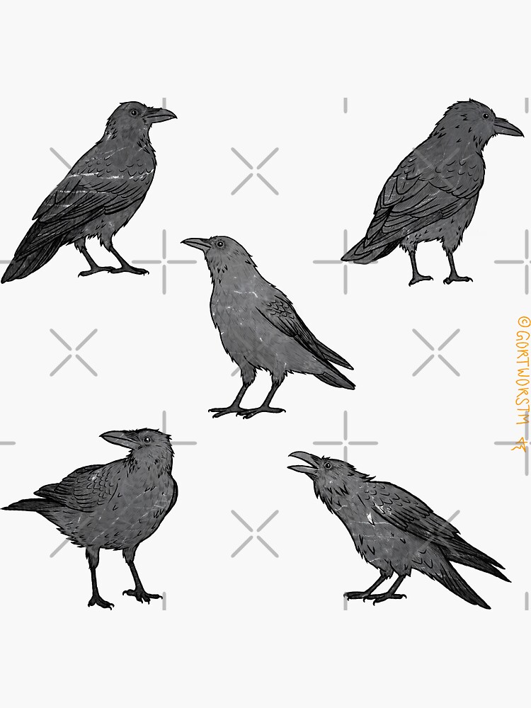 "Crows Sticker Sheet" Sticker for Sale by gortworstm | Redbubble