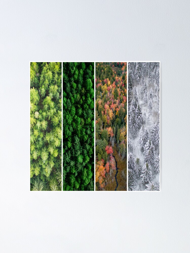 "Spring Summer Fall Winter " Poster for Sale by Romexcreative | Redbubble