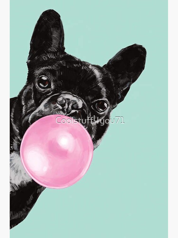 "Pug Dog Art Pugs puppy funny cute dogs with bubble gum" Poster for ...