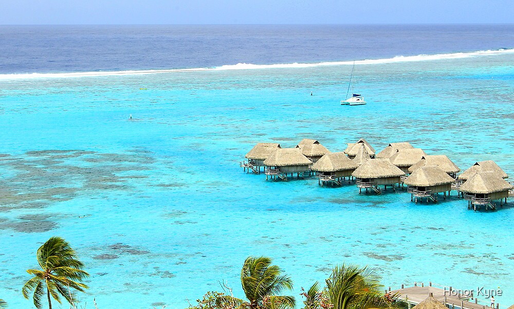"Coral Reef View - Moorea Island" by Honor Kyne | Redbubble