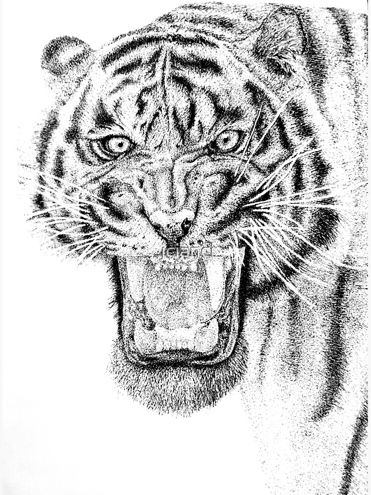 "Tiger Pen and Ink Stipple Drawing" Poster for Sale by jcianci | Redbubble