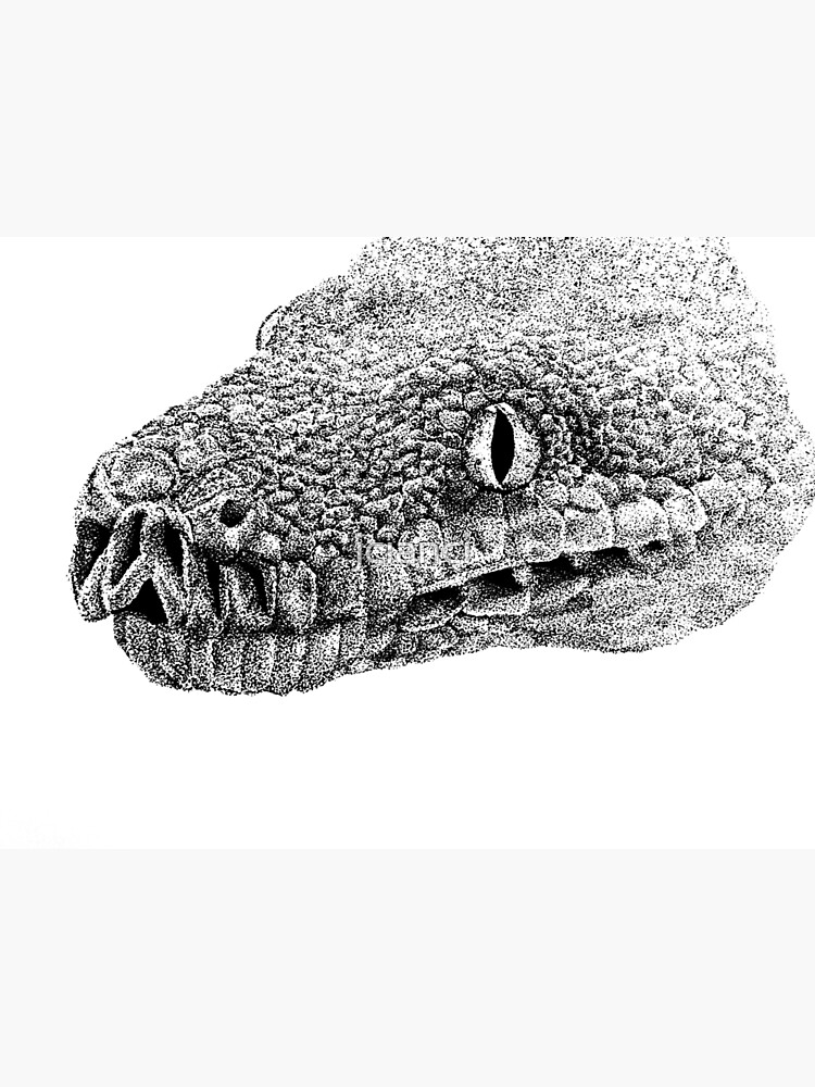 "Snake Pen and Ink Stipple Art" Poster for Sale by jcianci | Redbubble