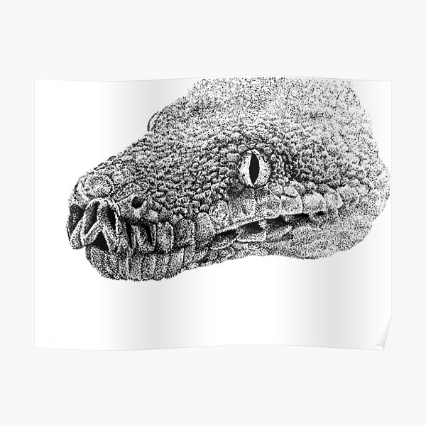"Snake Pen and Ink Stipple Art" Poster by jcianci | Redbubble