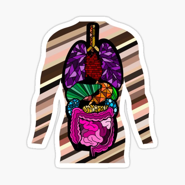 "Human Body Organs - Stained Glass Print" Sticker for Sale by ...