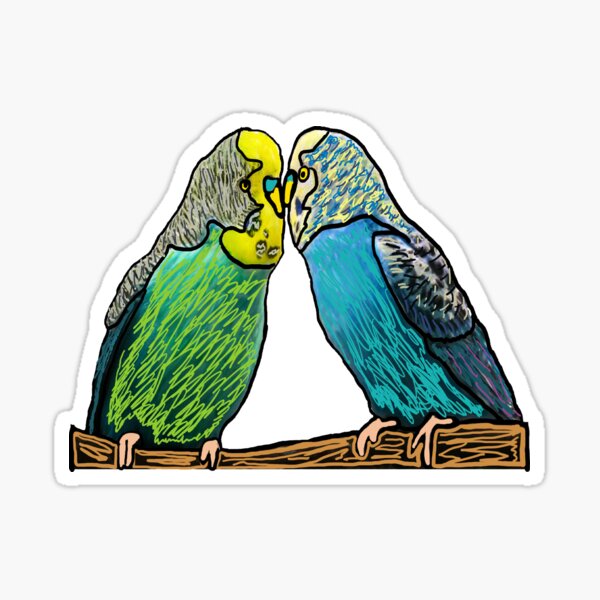 "Budgie" Sticker by Mark-Ewbie | Redbubble