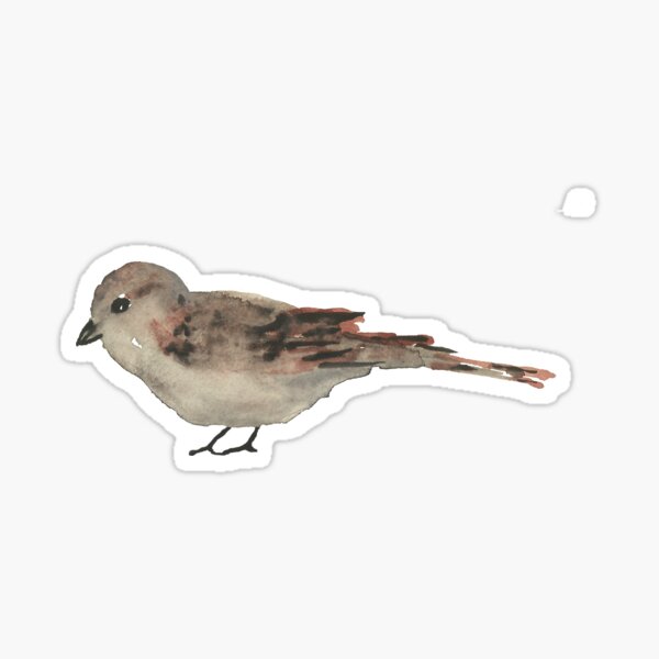 "Pondering Sparrow Bird Watercolor" Sticker for Sale by meiageddes ...
