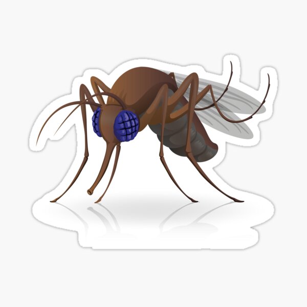 "Mosquito side Stilt mosquitoes fly mascot. Ideal for informational and ...