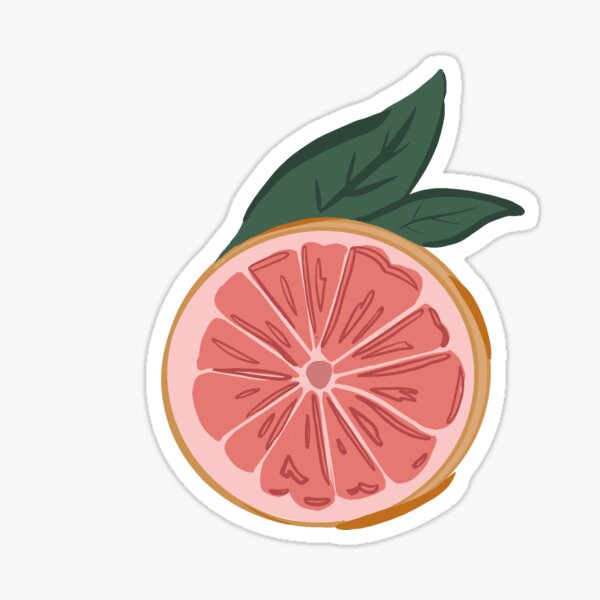 "grapefruit" Sticker by aniuaniu | Redbubble