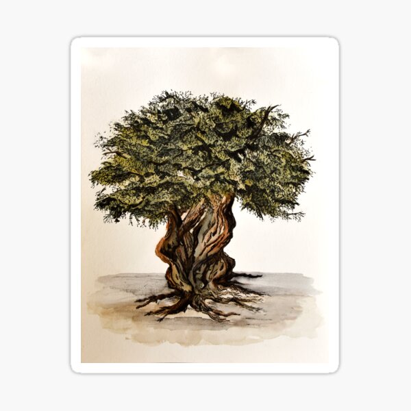 "Olive Tree" Sticker for Sale by Tafodali | Redbubble