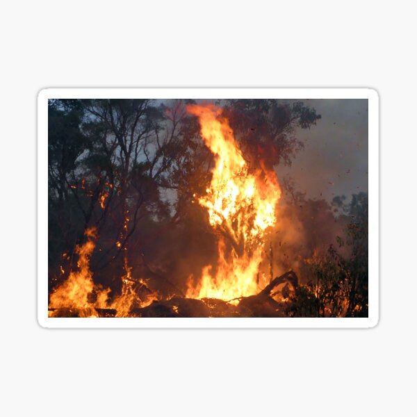 "Fire Burning " Sticker for Sale by FireGirlinOz | Redbubble