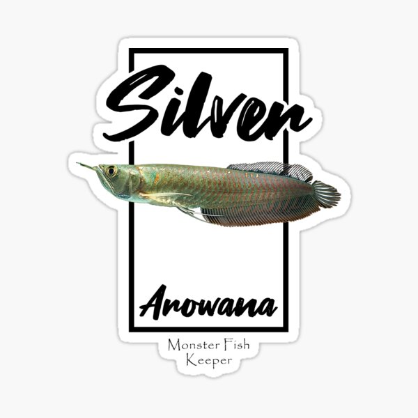 "Silver Arowana Monster Fish Keeper" Sticker by JRRTs | Redbubble