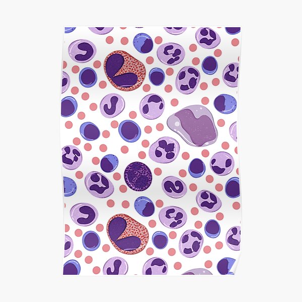 "Large White Blood Cell Pattern" Poster for Sale by Lindsey23art ...