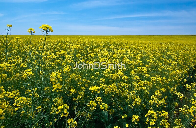 "Springtime Oklahoma !" by JohnDSmith | Redbubble