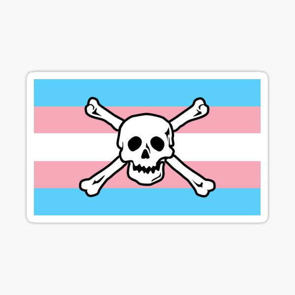 "Trans Pirate Pride" Sticker for Sale by hiboux69 | Redbubble