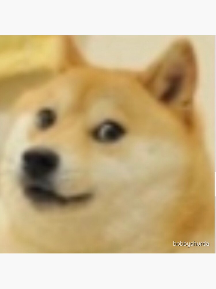 "DOGE (Low Resolution) " Sticker by bobbyshurda | Redbubble