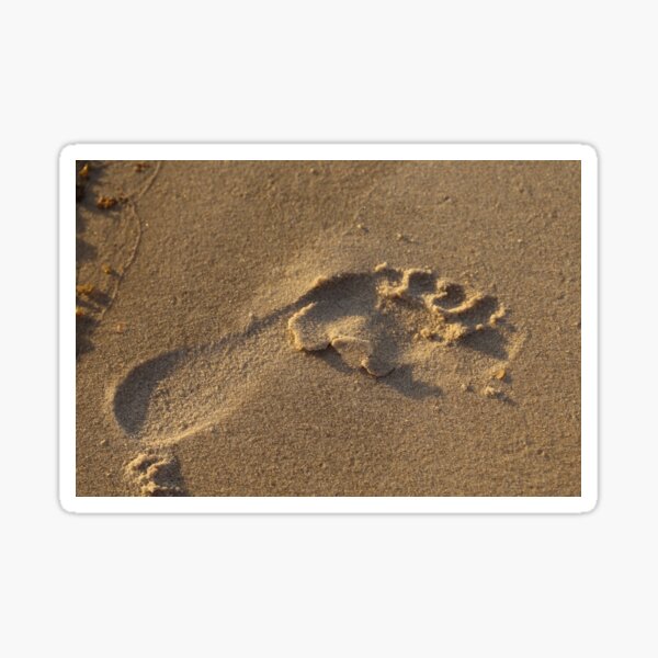 "Barefoot on the beach" Sticker for Sale by NJH110 | Redbubble