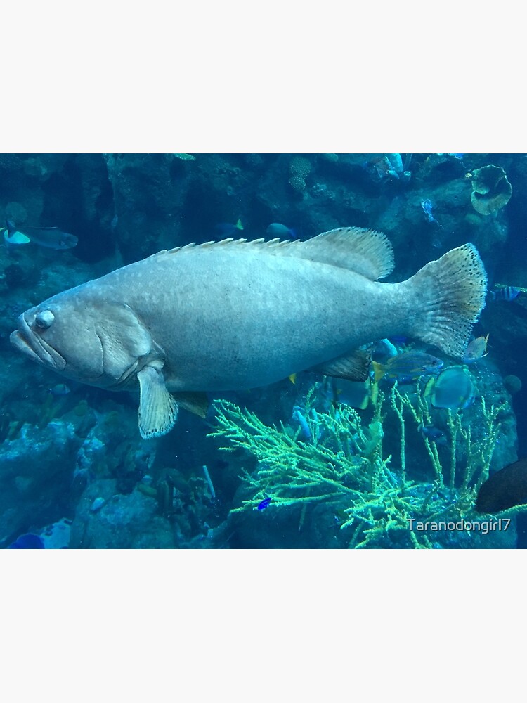 "A Really Big Fish" Poster by Taranodongirl7 | Redbubble