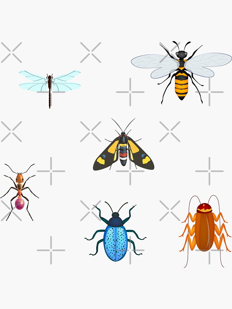 "Insects Sticker Pack Design" Sticker for Sale by Shiftech | Redbubble