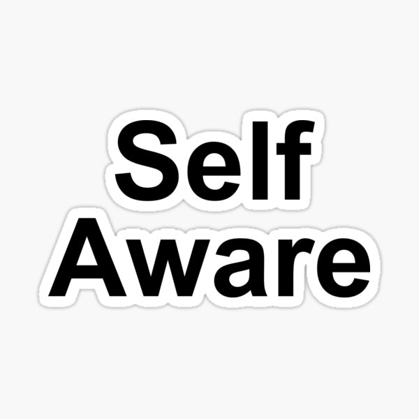 ""Self Aware" - Typography" Sticker for Sale by -Panda-Monium- | Redbubble