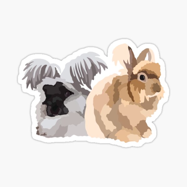 "Angora Bunny Rabbits Portrait Digital Illustration" Sticker for Sale ...