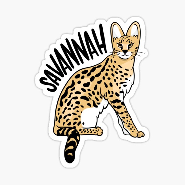 "SAVANNAH CAT " Sticker by iBruster | Redbubble